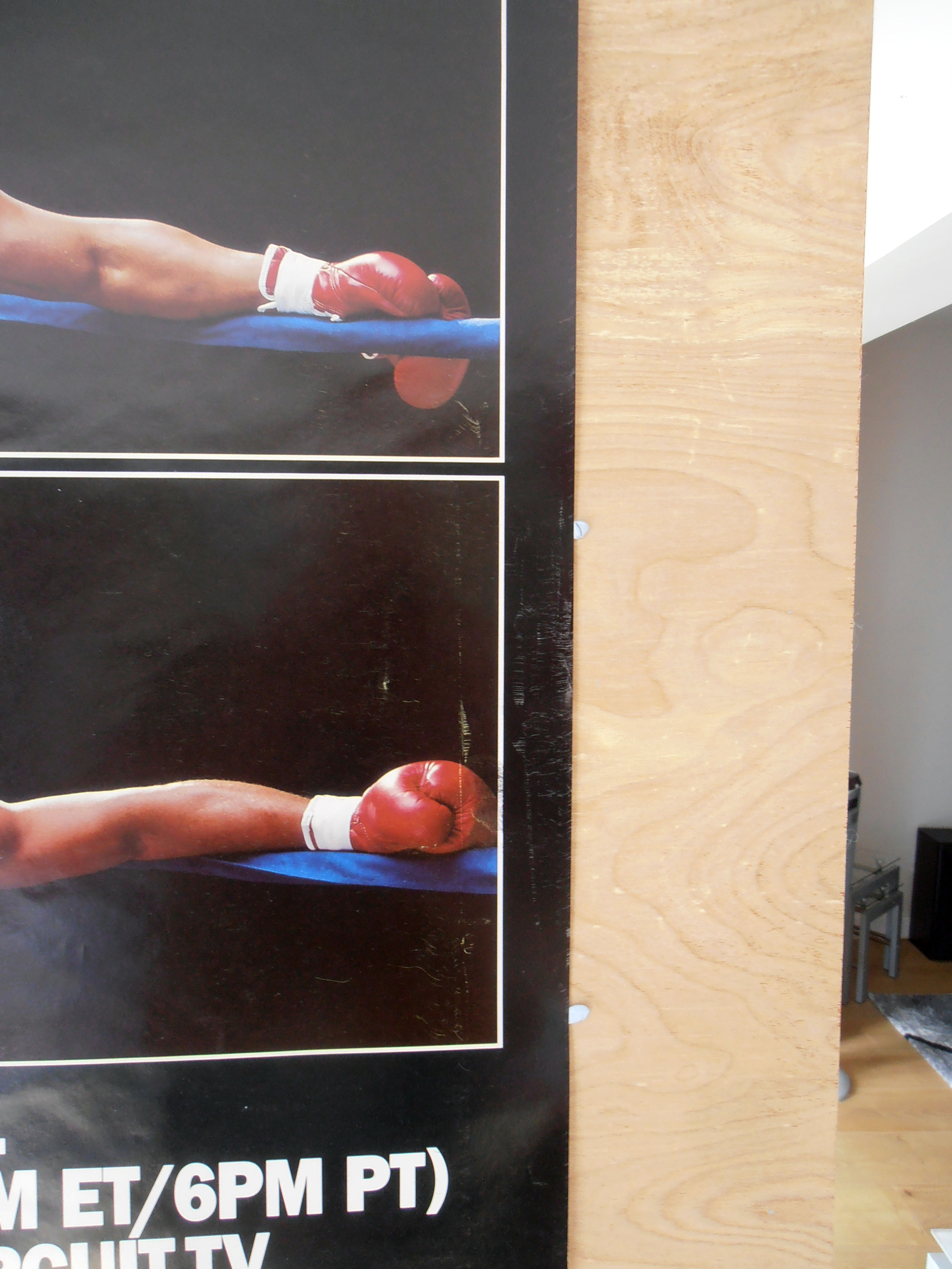 MIKE TYSON vs. DONOVAN RUDDOCK (2) PPV