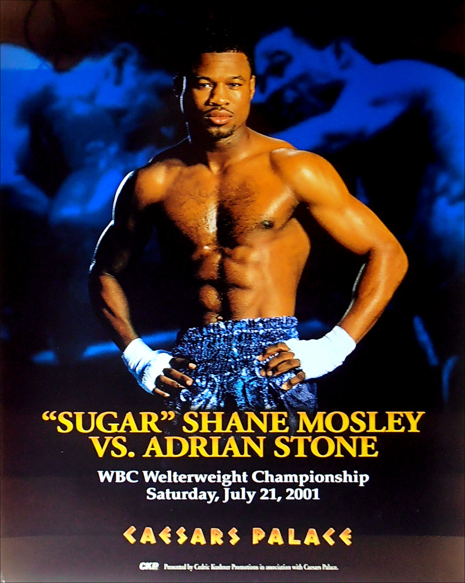 SUGAR SHANE MOSLEY vs. ADRIAN STONE (Site)