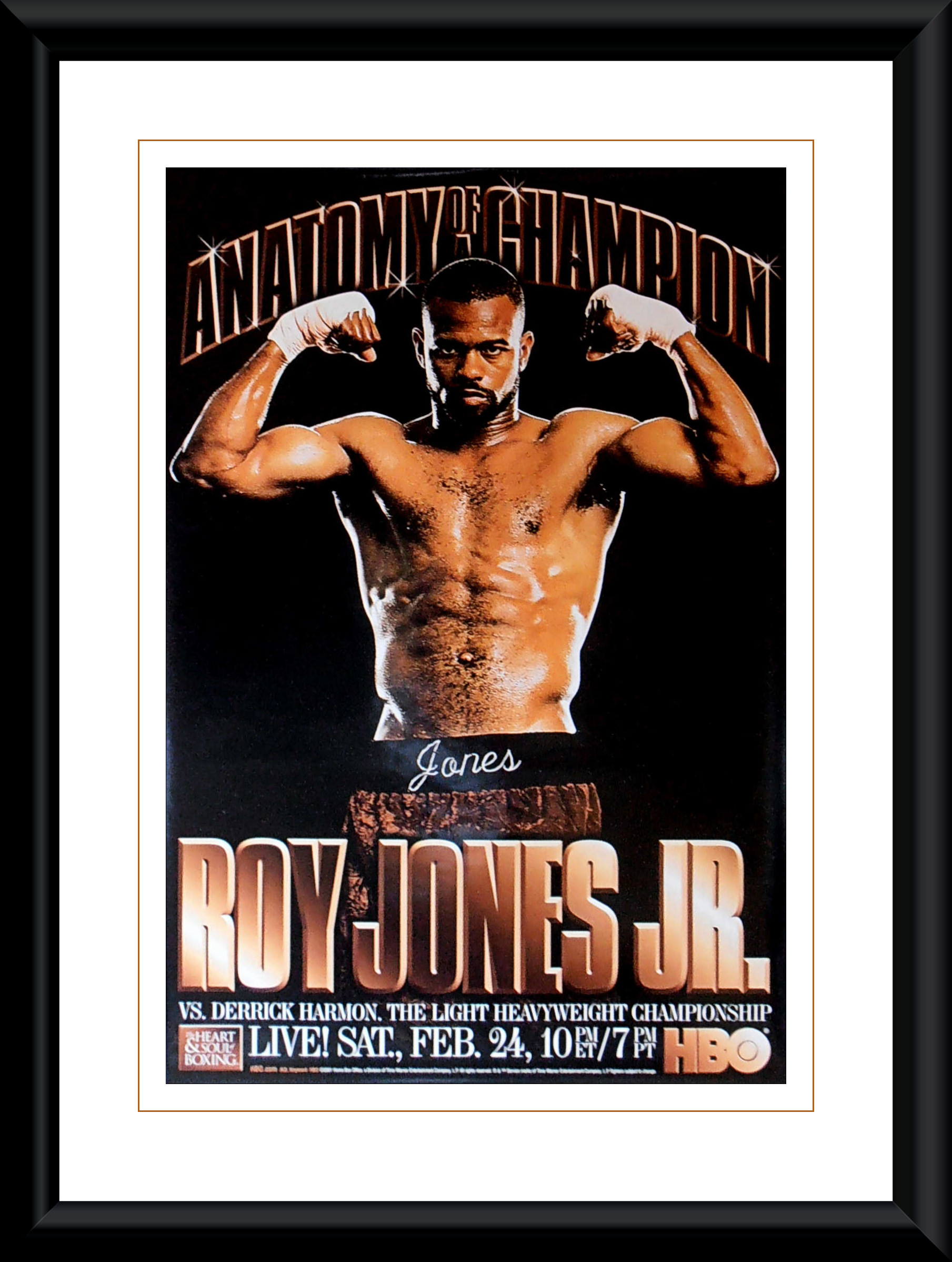ROY JONES JR vs. DERRICK HARMON (HBO)
