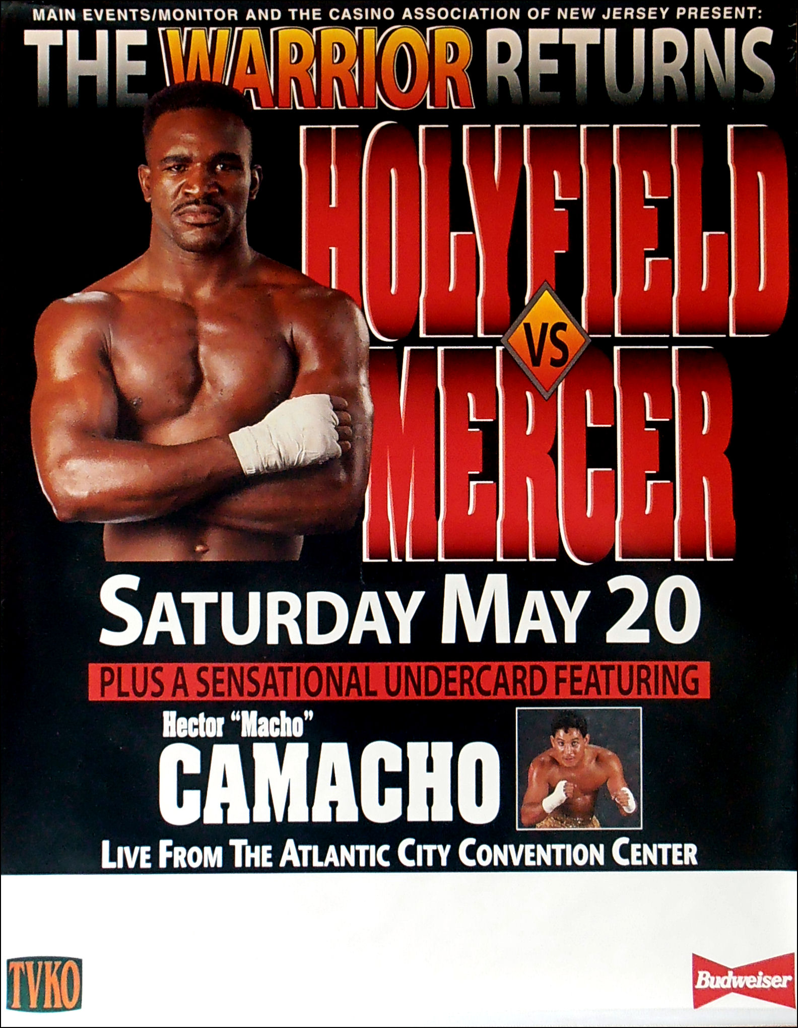 EVANDER HOLYFIELD vs. RAY MERCER (TVKO)