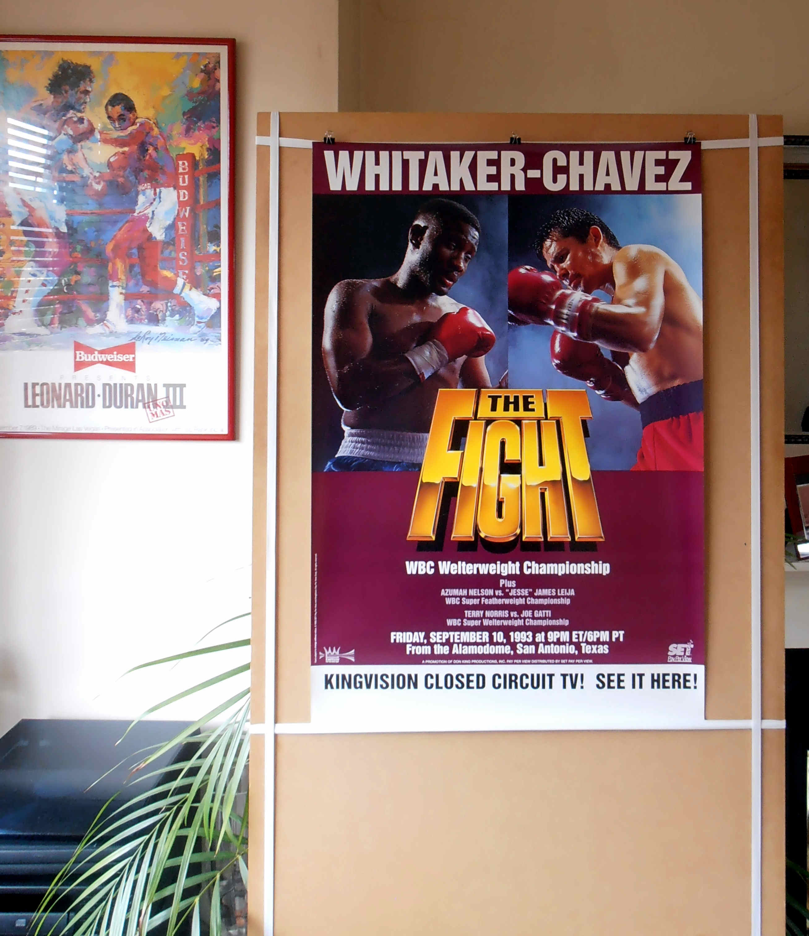 JULIO CESAR CHAVEZ vs. PERNELL WHITAKER (KING)